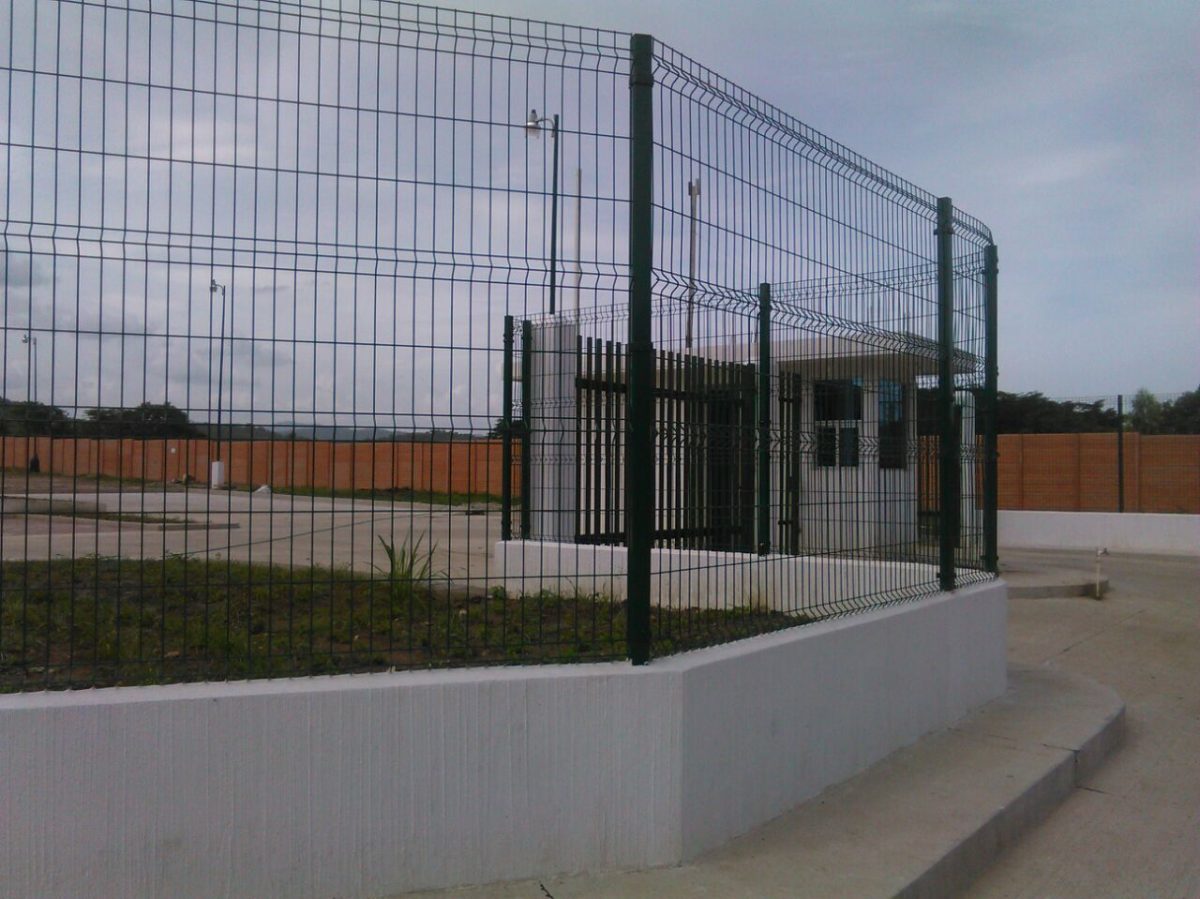 Reja Clasica - Inaltesa